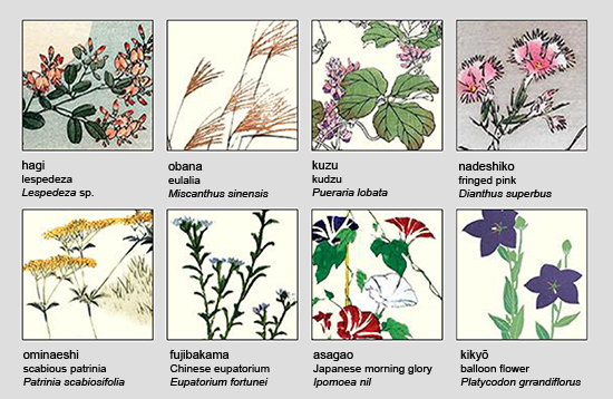 Seven Autumn Flowers in the Reader Collection of Japanese Flower and ...